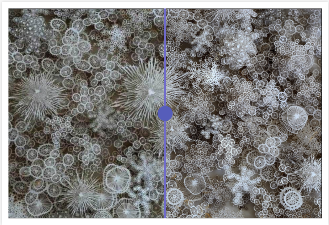 Snow Under Microscope