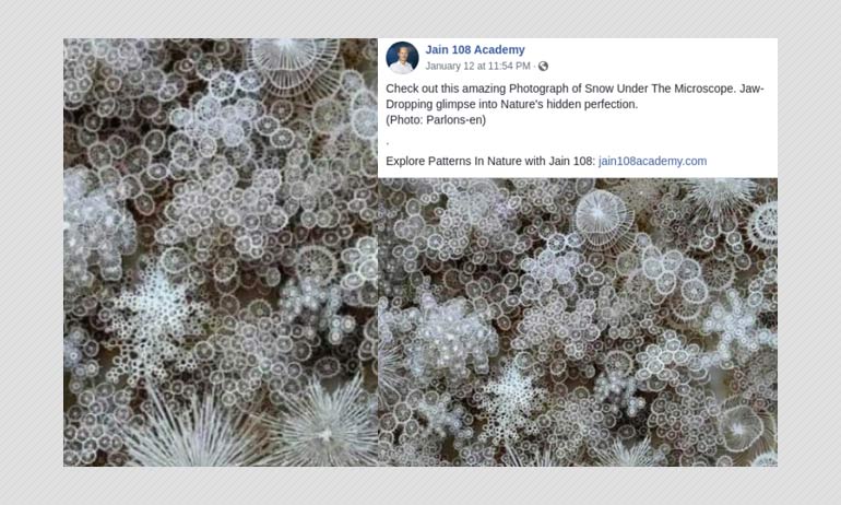 Artwork Falsely Shared As Snow Under A Microscope | BOOM