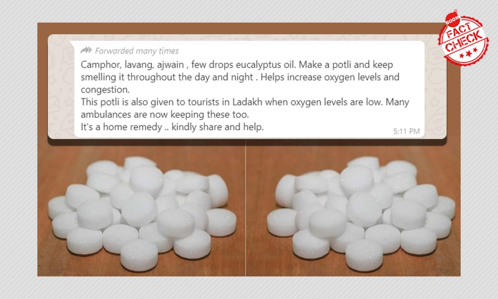 Do Dogs Like The Smell Of Camphor