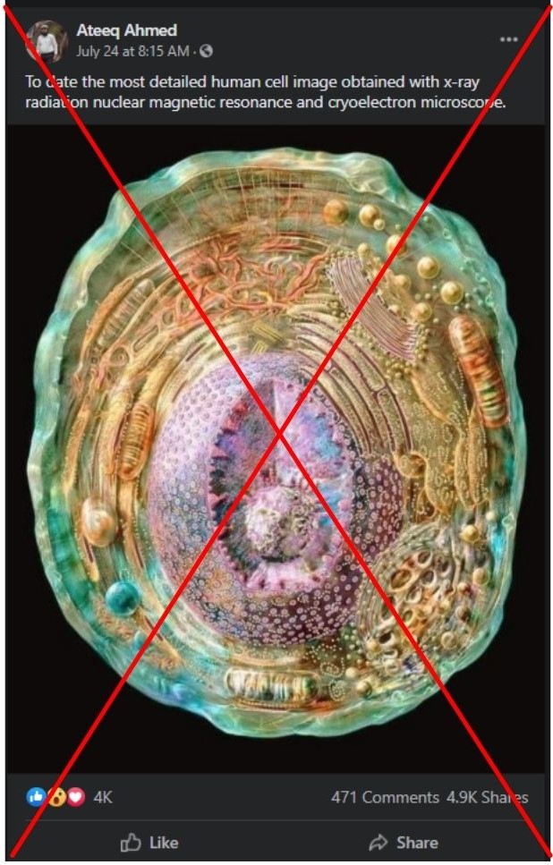 Human Cell Microscope