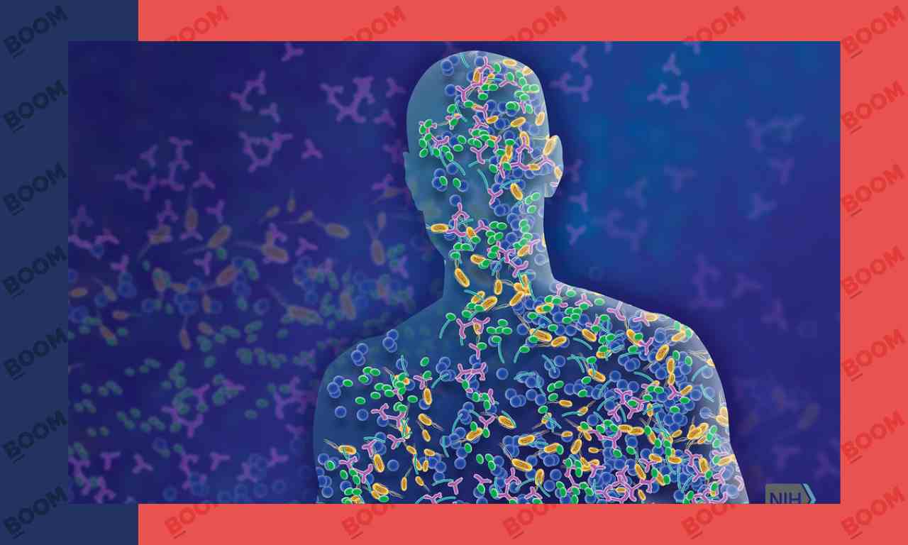 Explained: How The Human Gut Microbes Evolved With The Passage Of Time ...