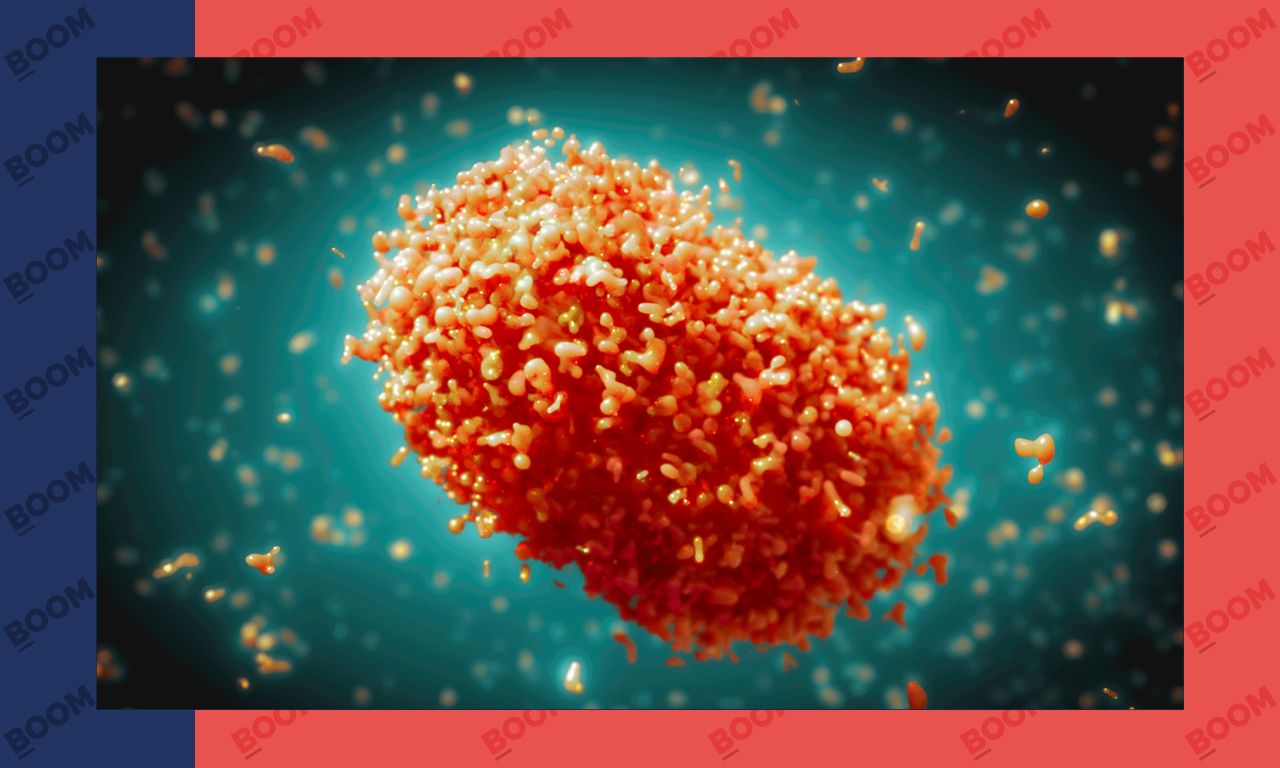 Explained - Why WHO Recommends 'Mpox' As A New Name For Monkeypox | BOOM