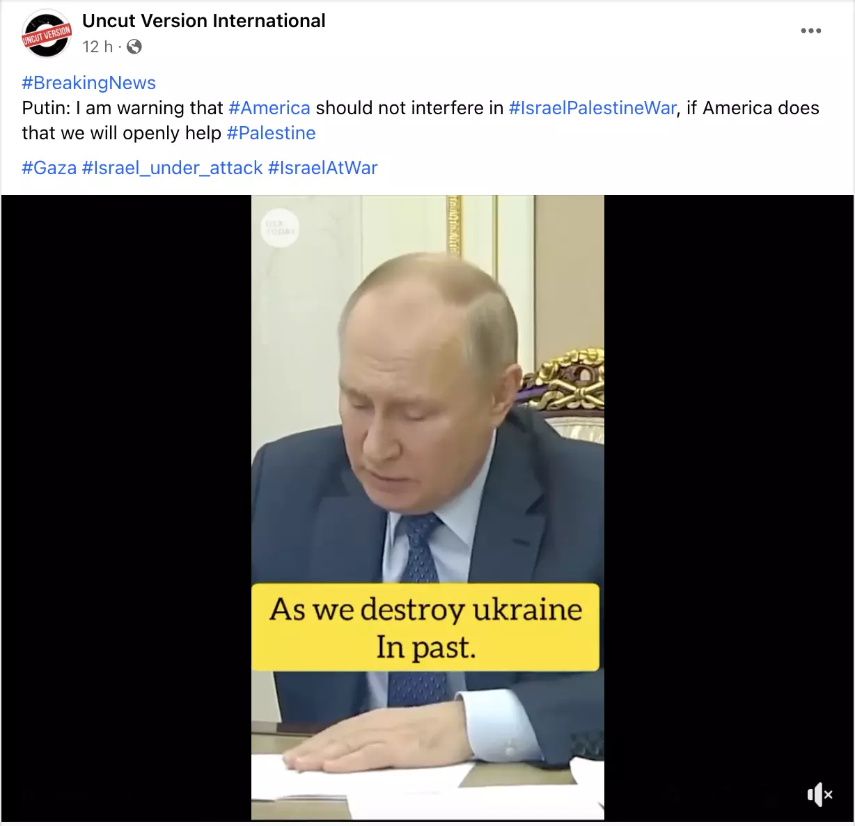 Mistranslated Video Shared To Claim Putin’s Support To Palestine
