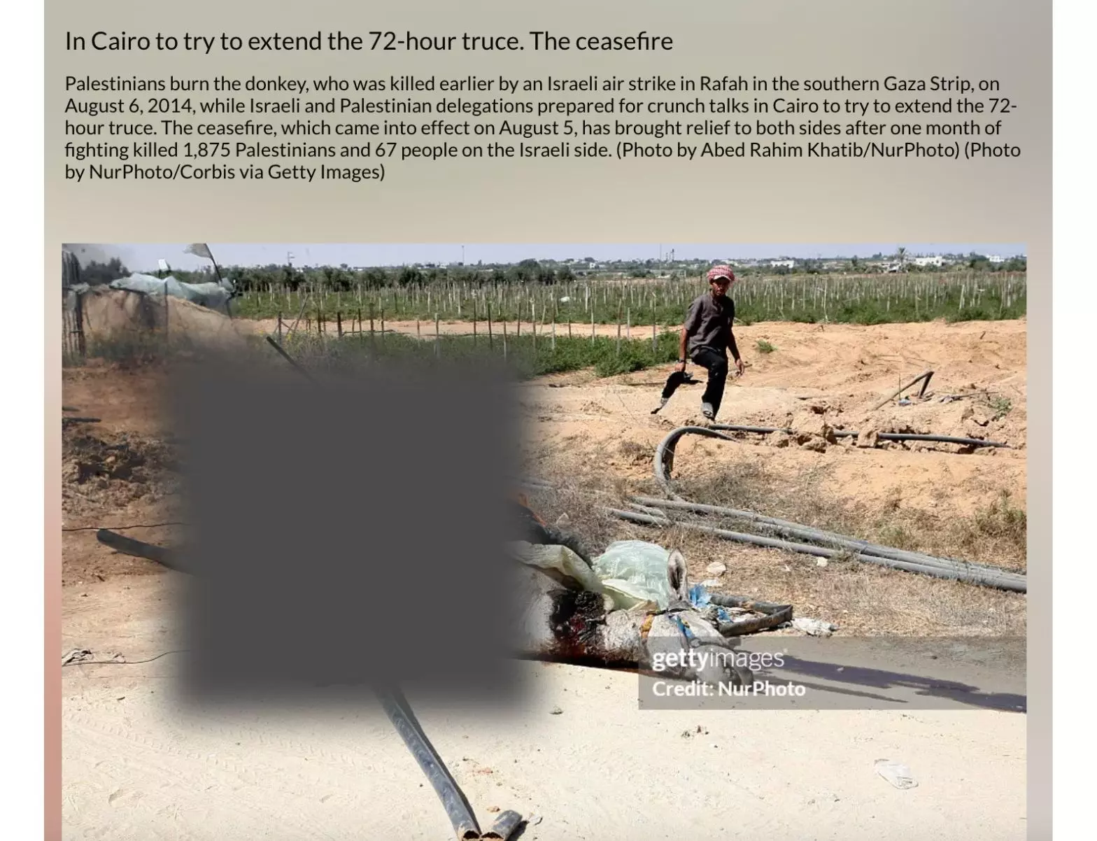 Unrelated Photos Peddled As Donkey Painted In Israeli Flag Burnt In ...